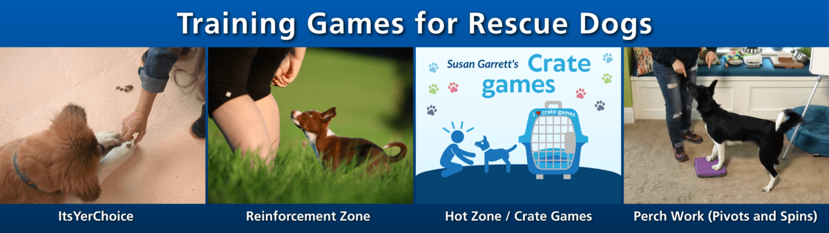 Rescue Dog Training: How to Help Your Newly Adopted Dog Stay Home for Life